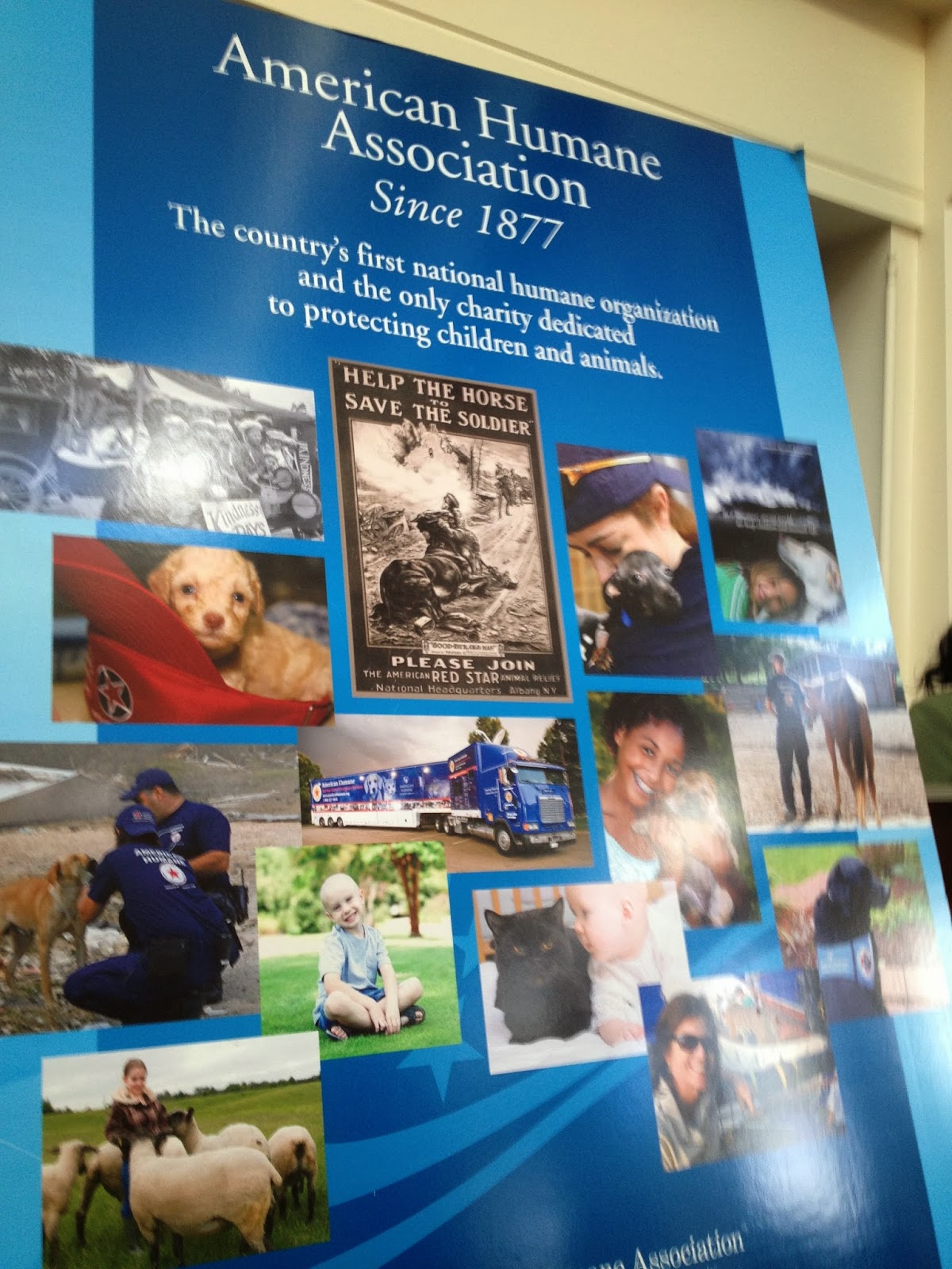 Life With Beagle: 9 things I learned about the American Humane Association